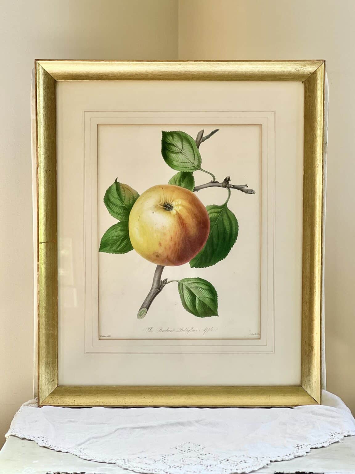 Vintage Botanical Fruit Prints at Petra Webster blog