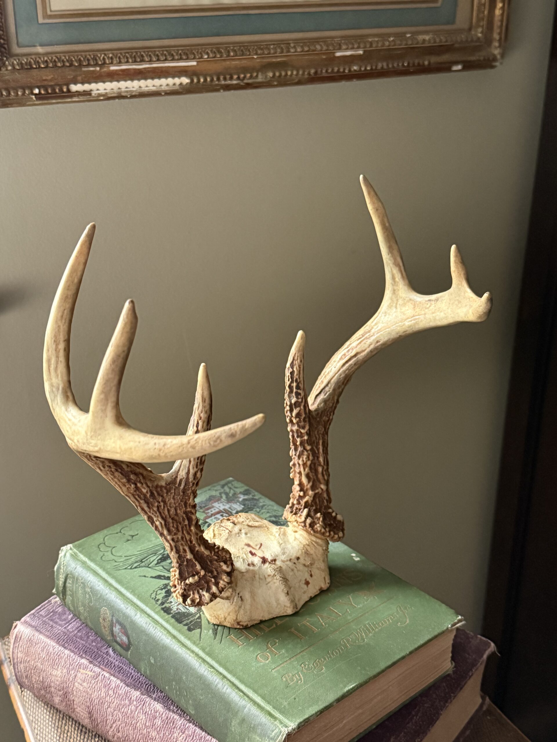 8-Point Antlers | Vintage Keepers