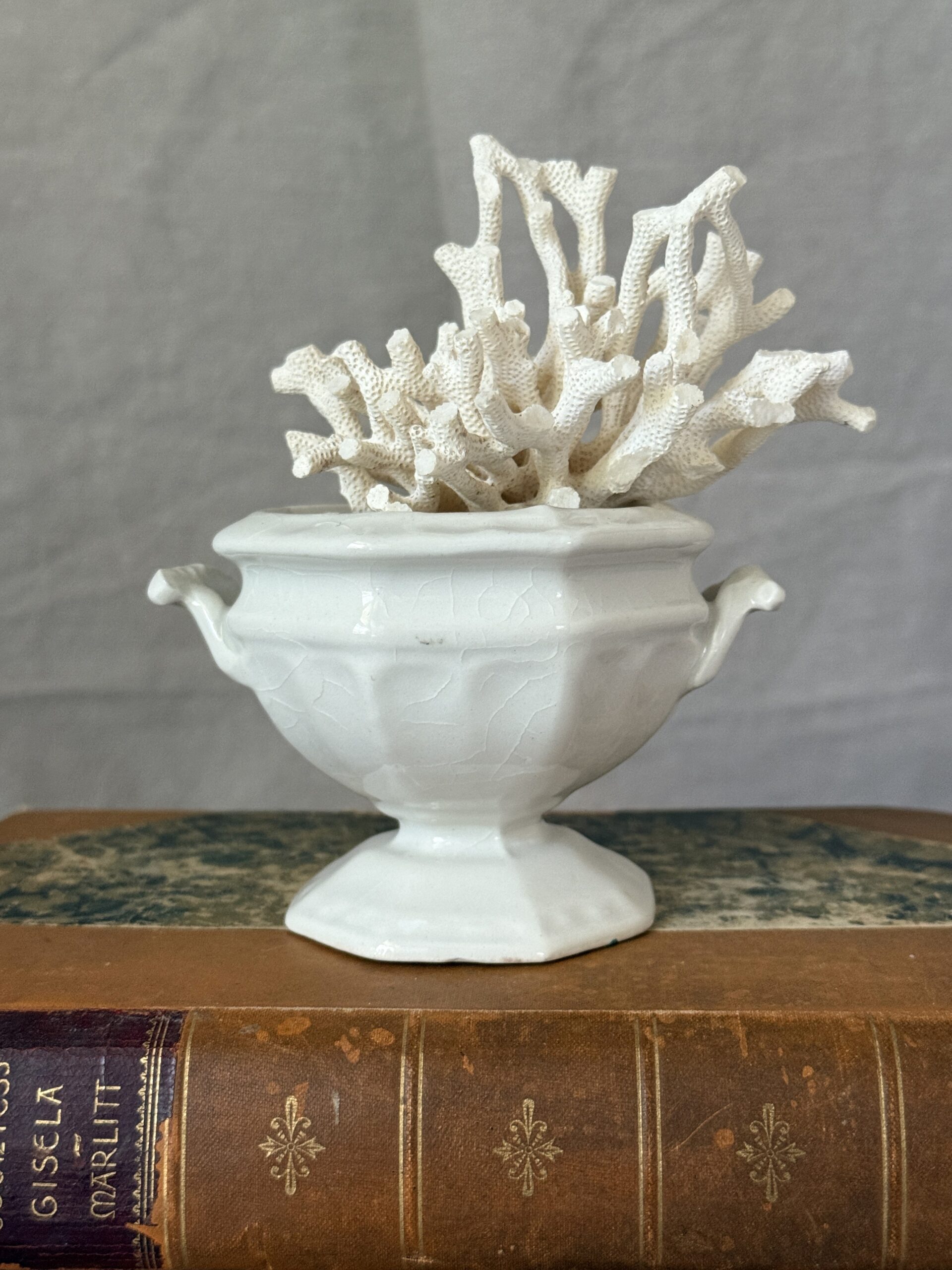 Small Natural Coral Fragment in Mini Ironstone Tureen 5″ | Vintage Keepers
