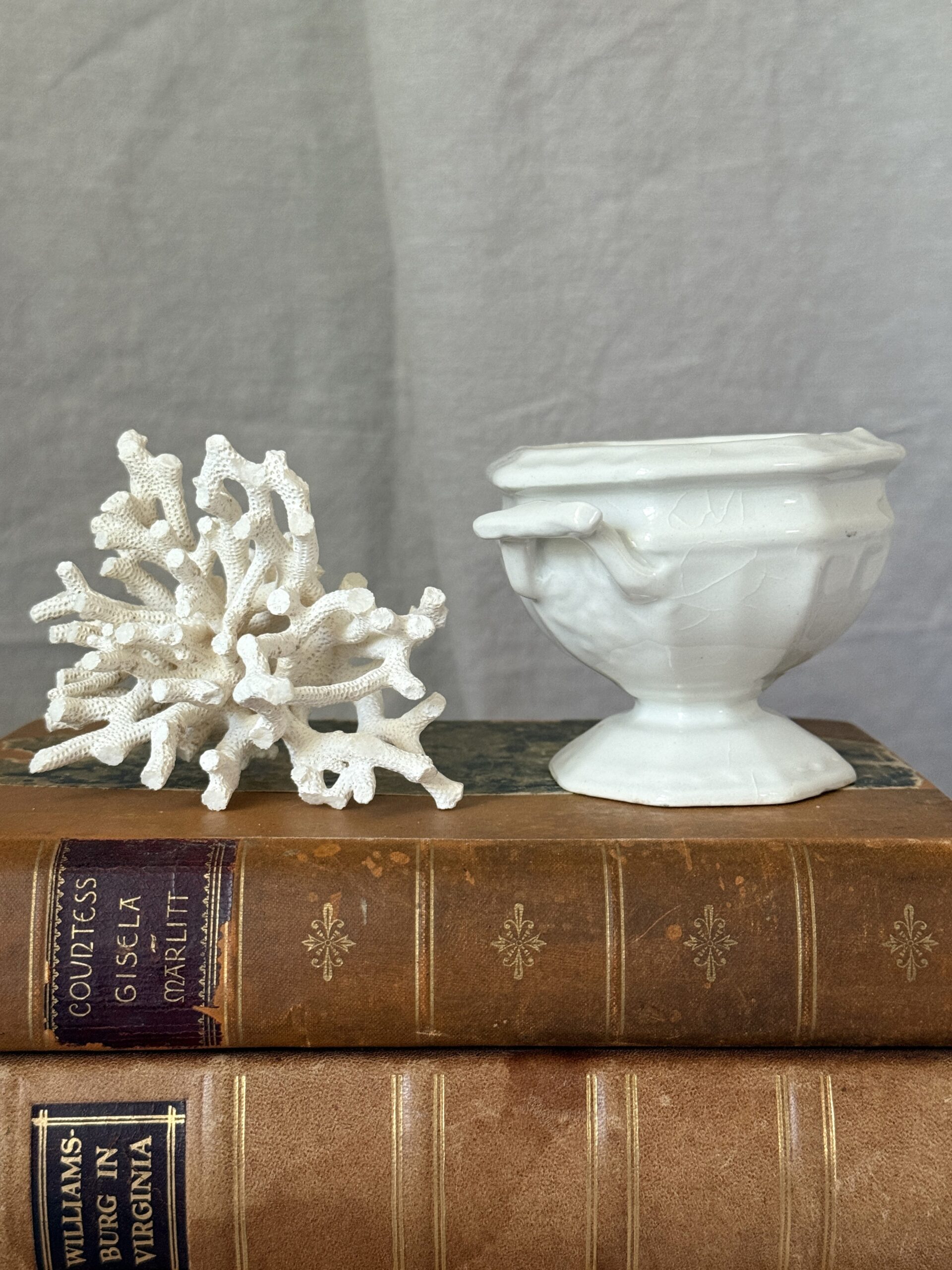 Small Natural Coral Fragment in Mini Ironstone Tureen 5″ | Vintage Keepers
